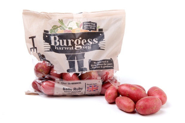 Produce World Group in Strong Position For the Future | Manufacturing ...